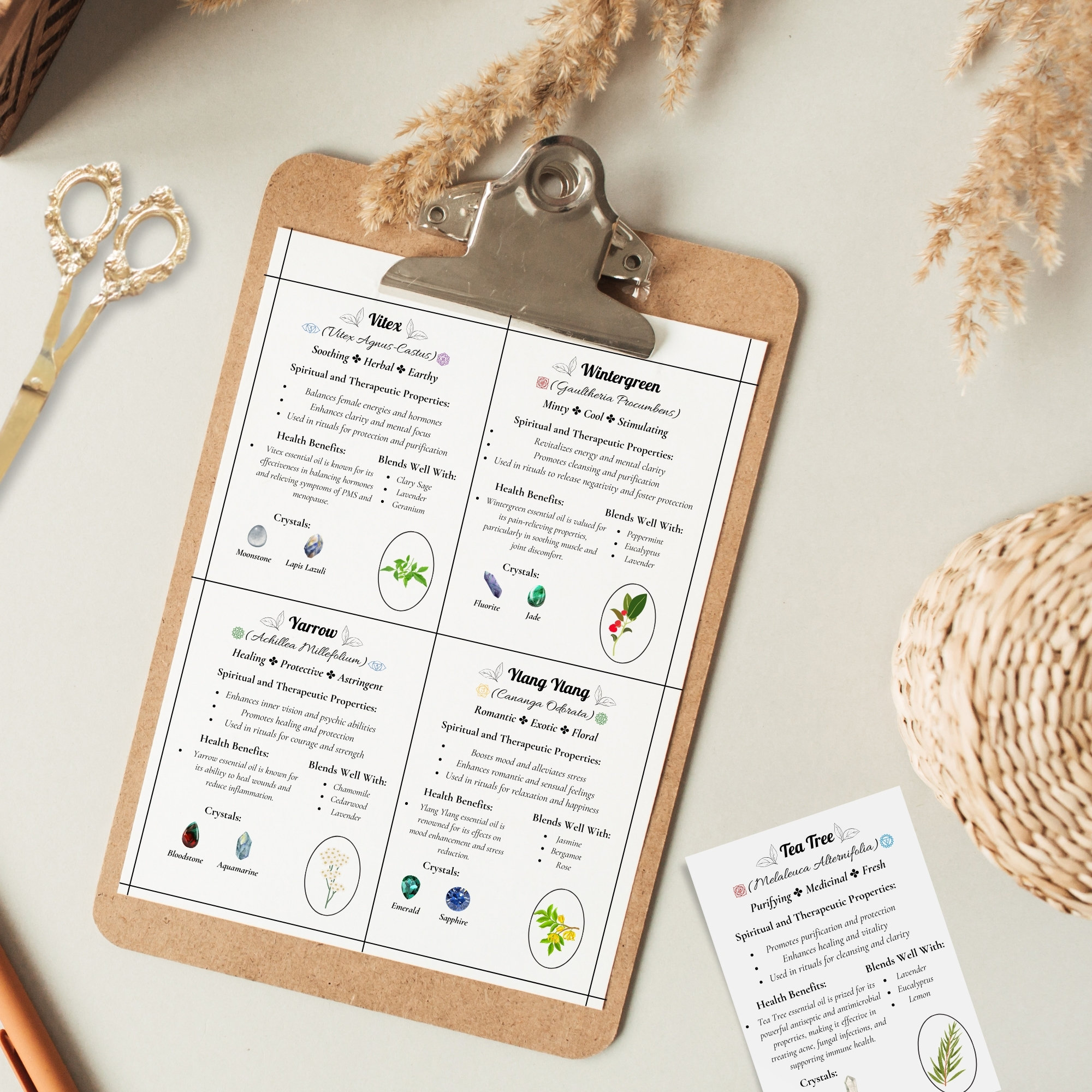 72 Essential Oil Cards: Aromatherapy Guide, Crystal Herb Blends ...