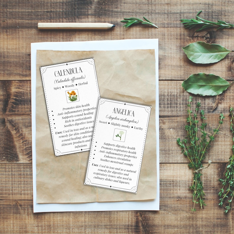 60 Herb Information Cards: Apothecary Medicinal Plant Guide (PDF) - Etsy