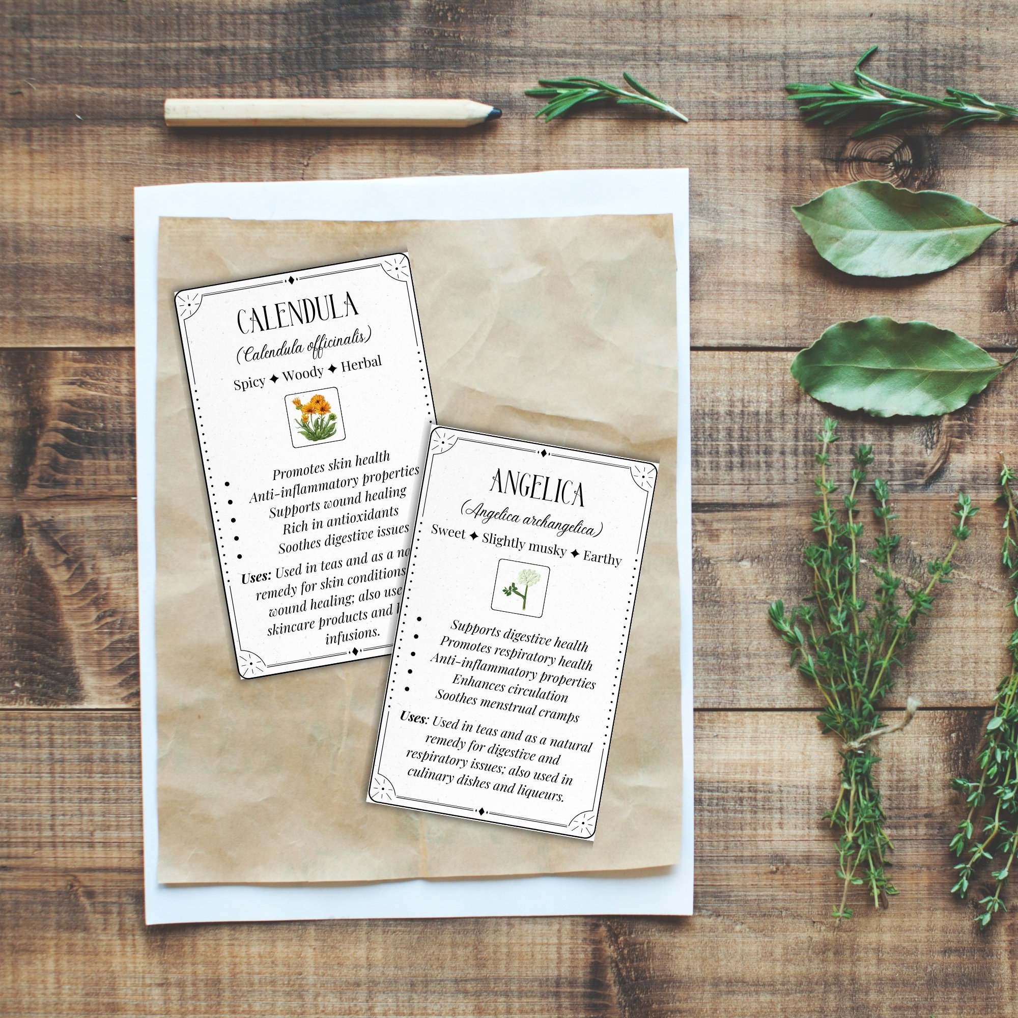 60 Herb Information Cards: Apothecary Medicinal Plant Guide (PDF) - Etsy