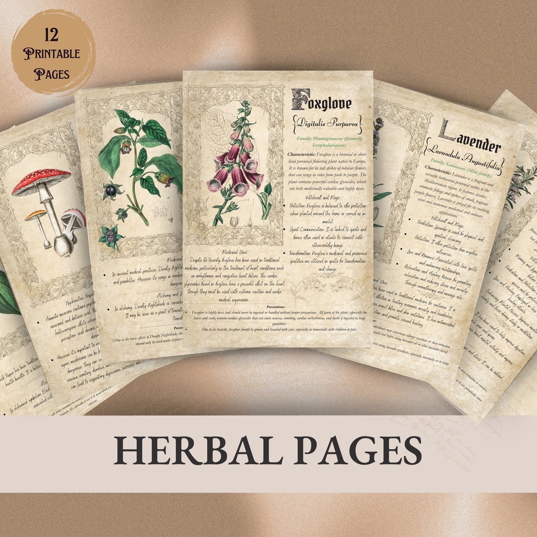 Herbal Pages, Botanical Herbs, Grimoire Pages, Book of Shadow, Herbal ...