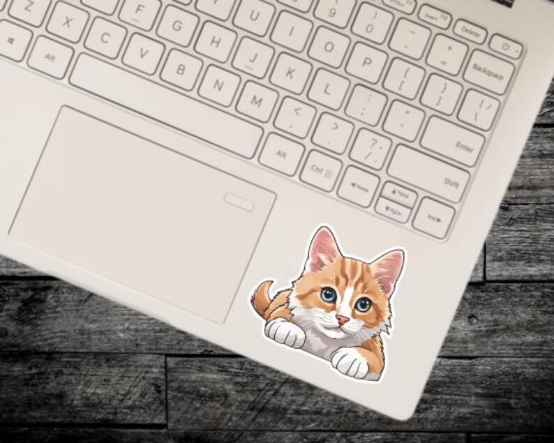 Blue Eyed Cat Sticker PNG, Printable Sticker, Laptop Sticker, Water ...