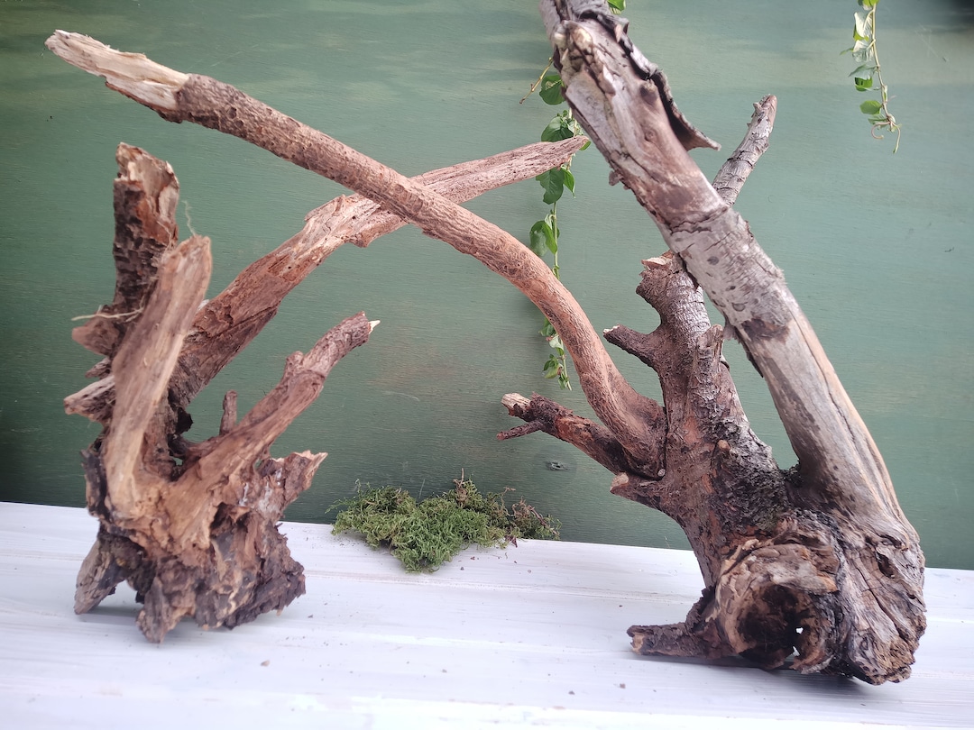 Decorative Tree Roots Two Roots for Indoor or Outdoor Use - Etsy