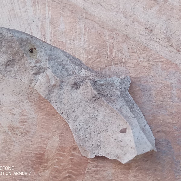 Prehistoric Fish - Etsy