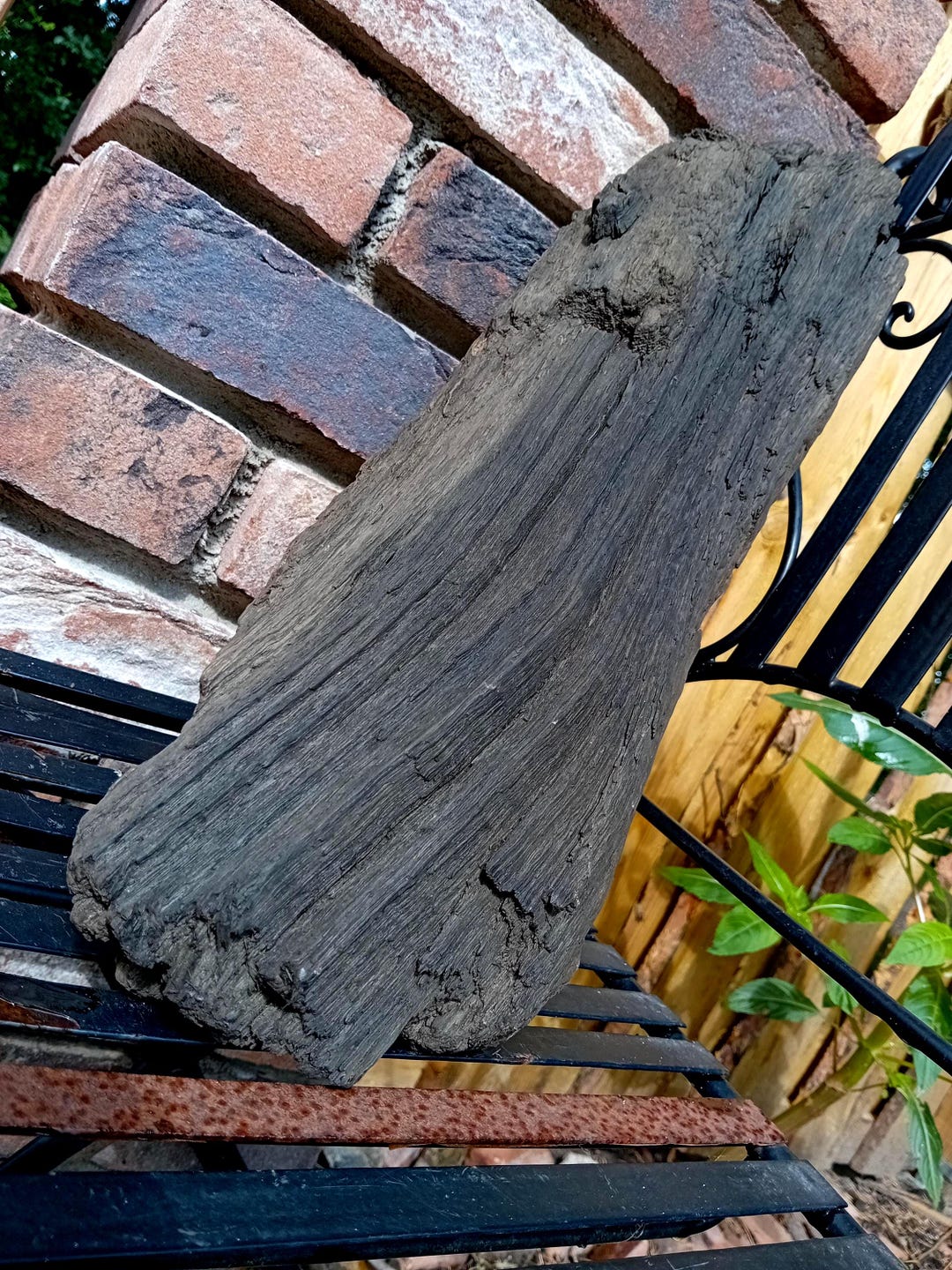 Bog Oak Board Vintage Wall Decoration - Natural Board - Real Bog Oak - Etsy