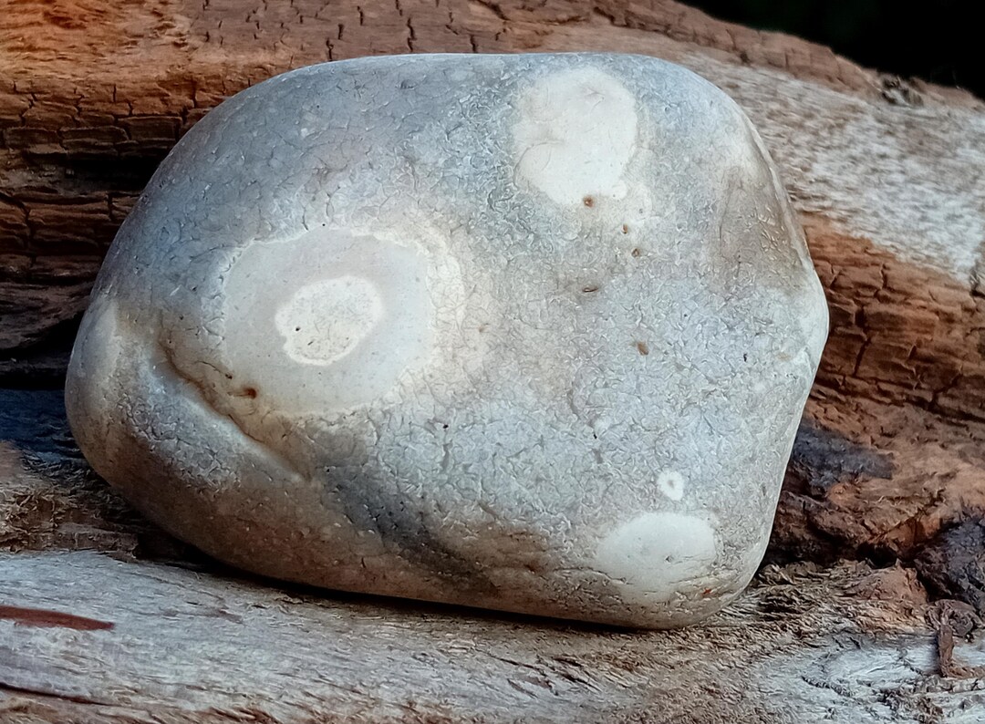 Ocean Blue Beach Stone • Natural Decor Rock With White Inclusions ...