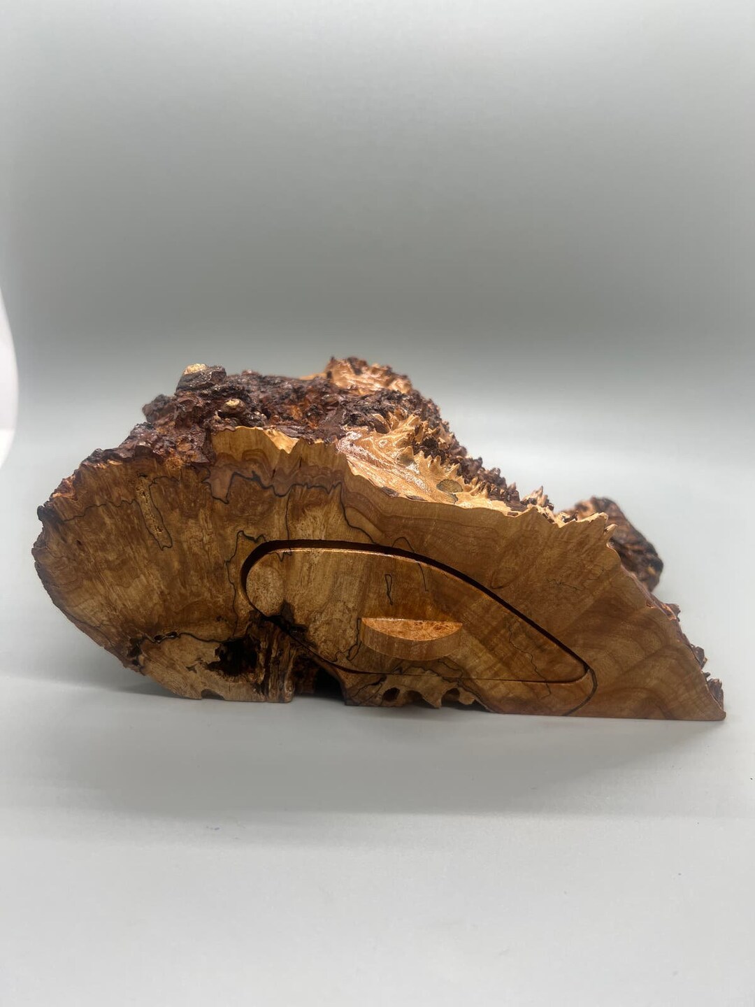 Beautiful Burled Wood Log Box - Etsy