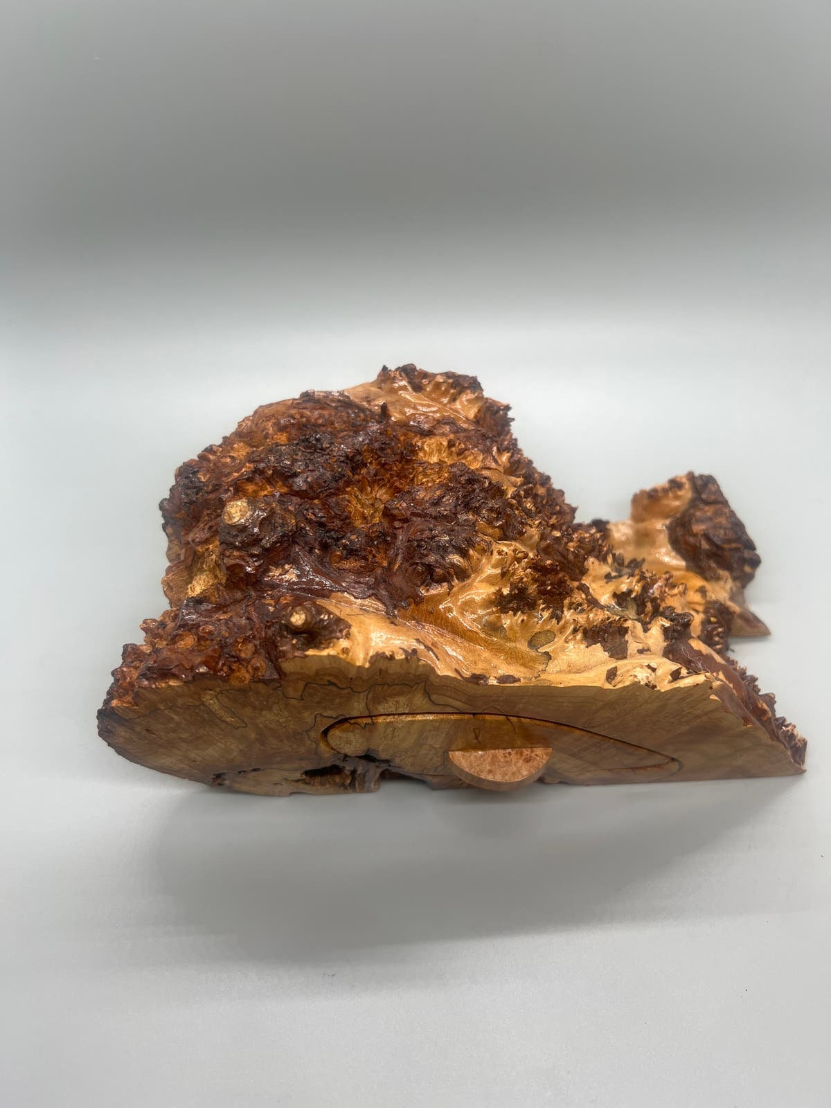 Beautiful Burled Wood Log Box - Etsy