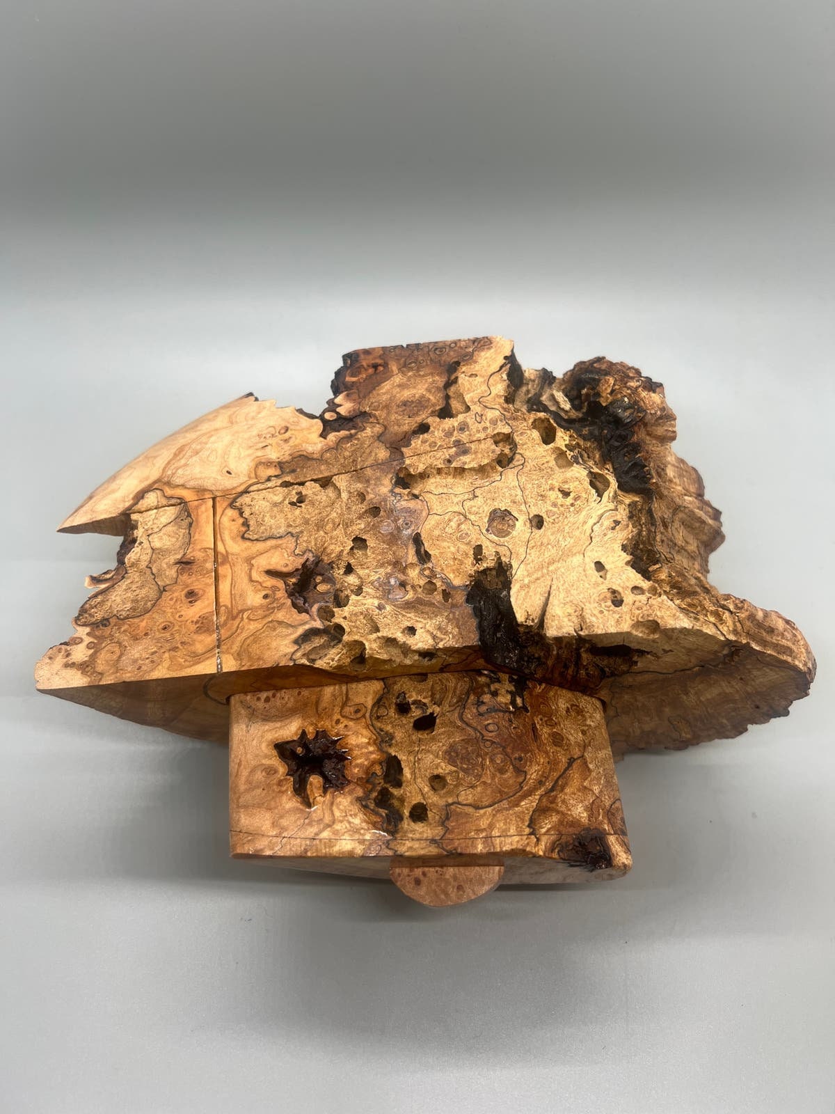 Beautiful Burled Wood Log Box - Etsy
