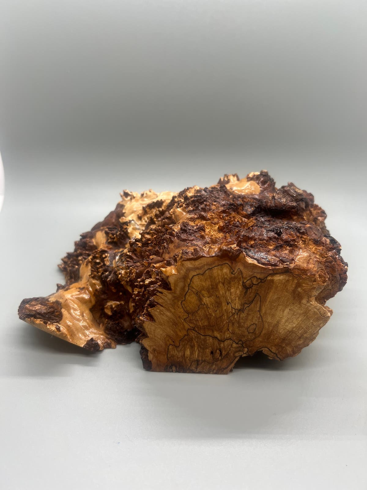 Beautiful Burled Wood Log Box - Etsy