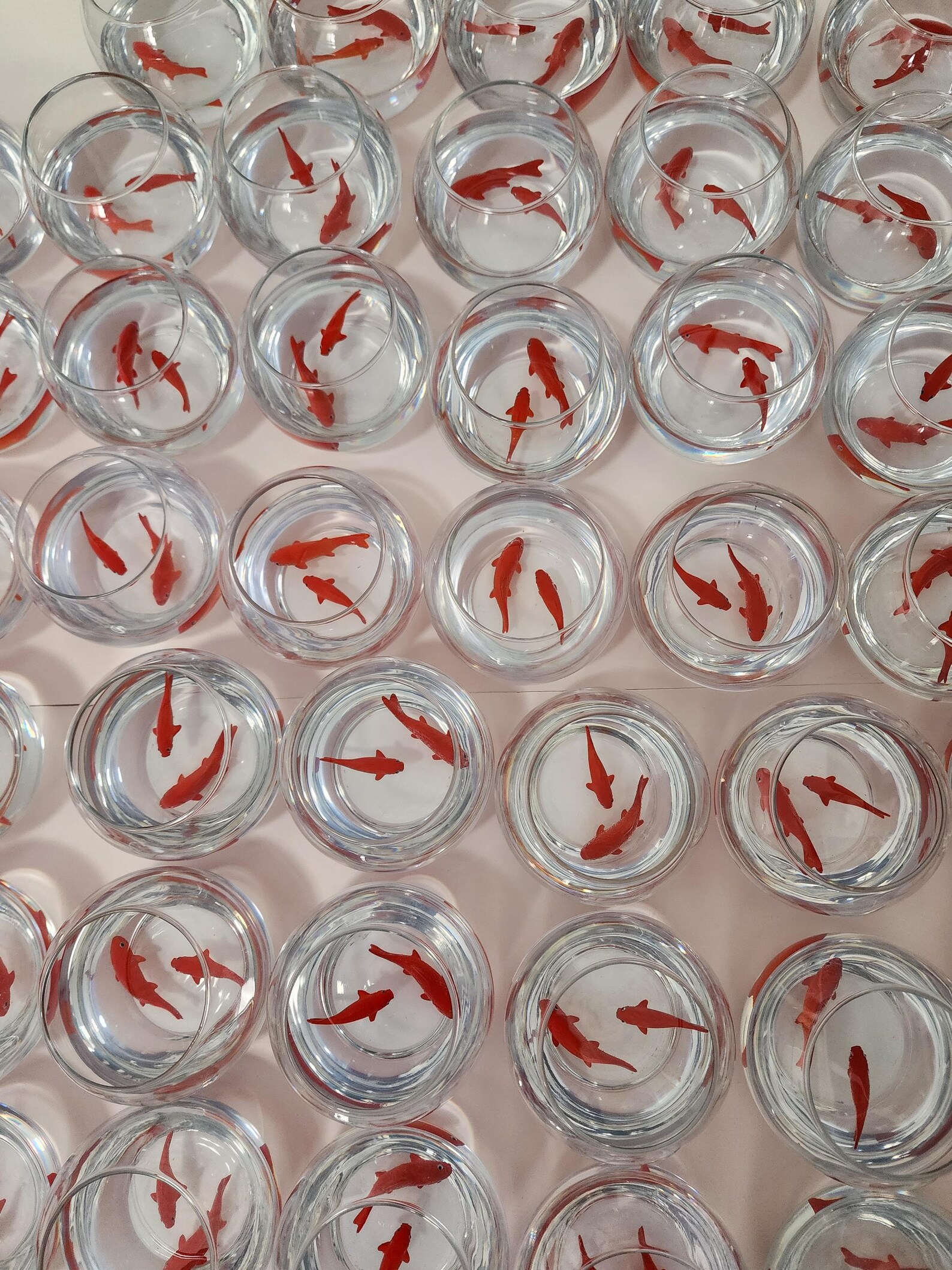 Haftseen Fish, Haftseen Mahee, Goldfish for Nowrooz, - Etsy