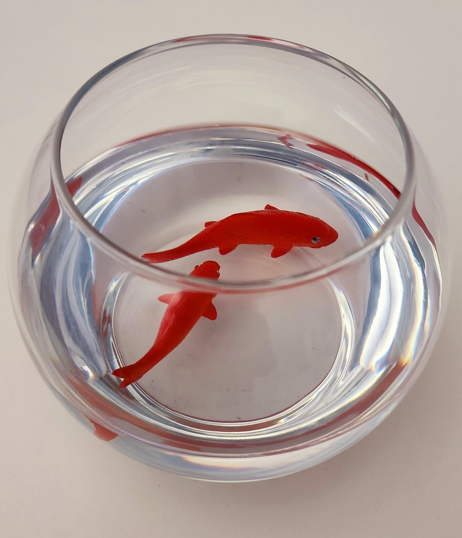 Haftseen Fish, Haftseen Mahee, Goldfish for Nowrooz, - Etsy