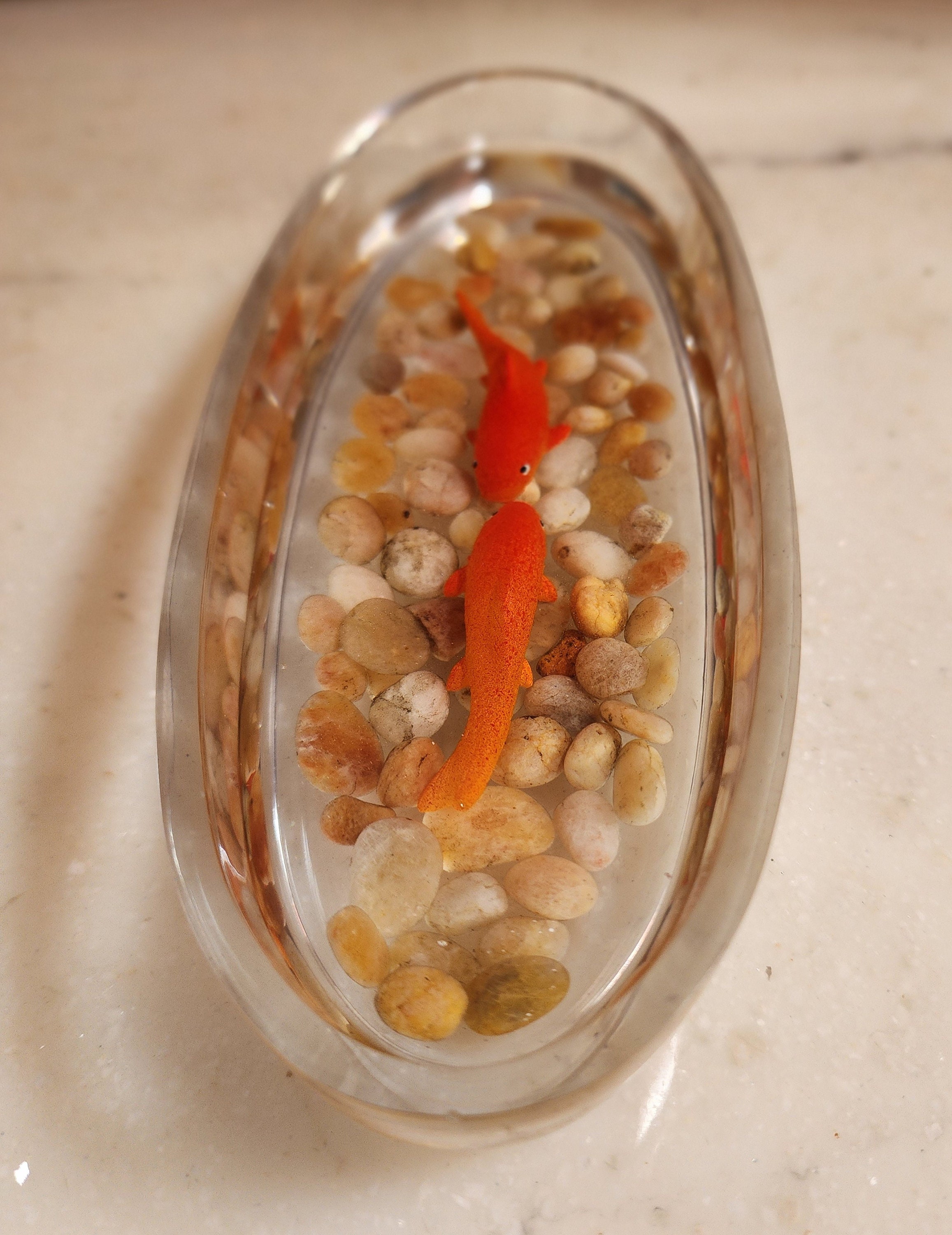3D Goldfish in a Resin Container, One-of-a-kind - Etsy