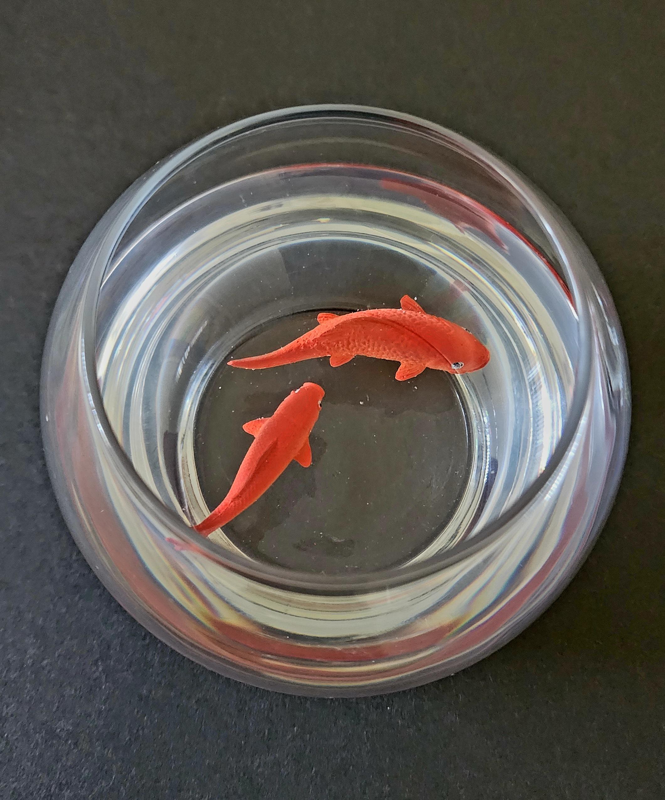 Haftseen Fish, Haftseen Mahee, Goldfish for Nowrooz, - Etsy