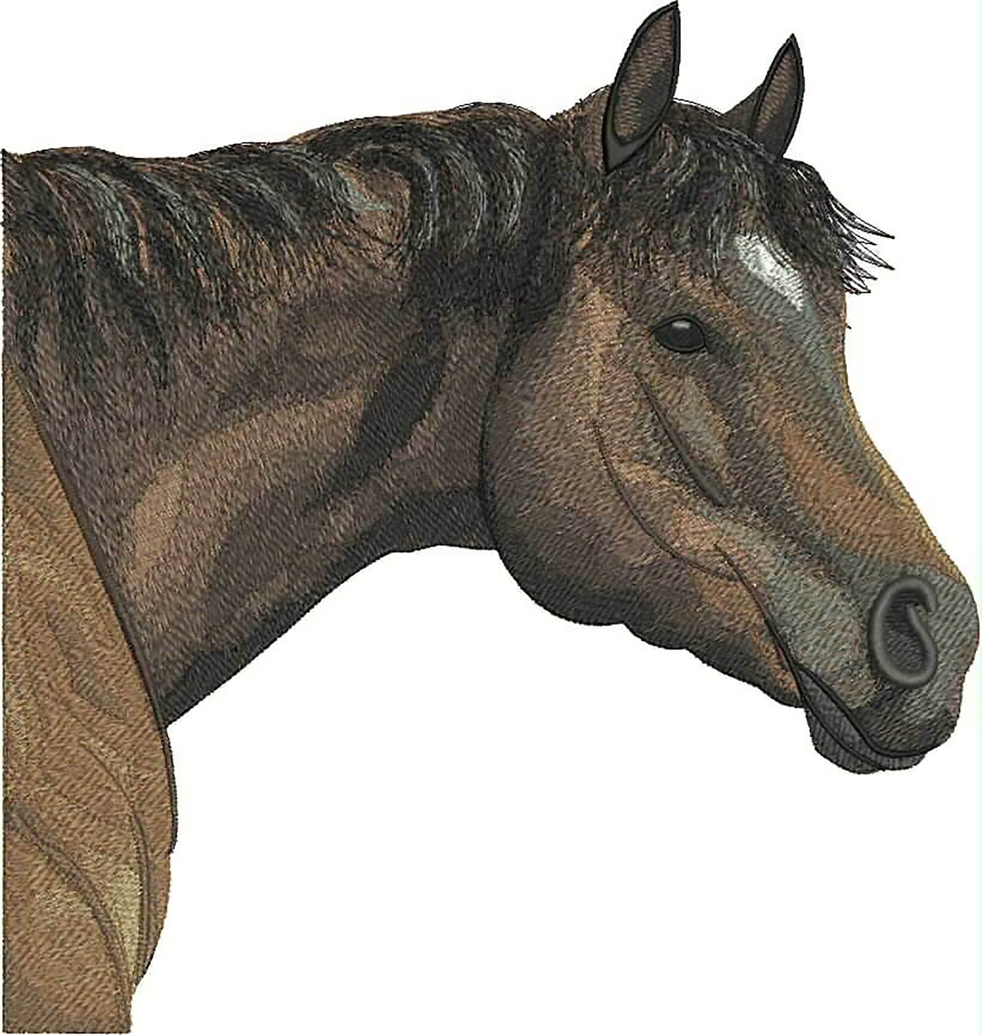 Machine Embroidery Horse Head Design File - Equine Farm Rodeo Western ...