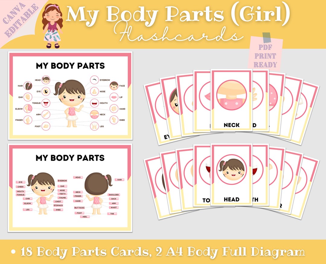Educational Body Parts Flashcards With Illustration for Kids Human ...