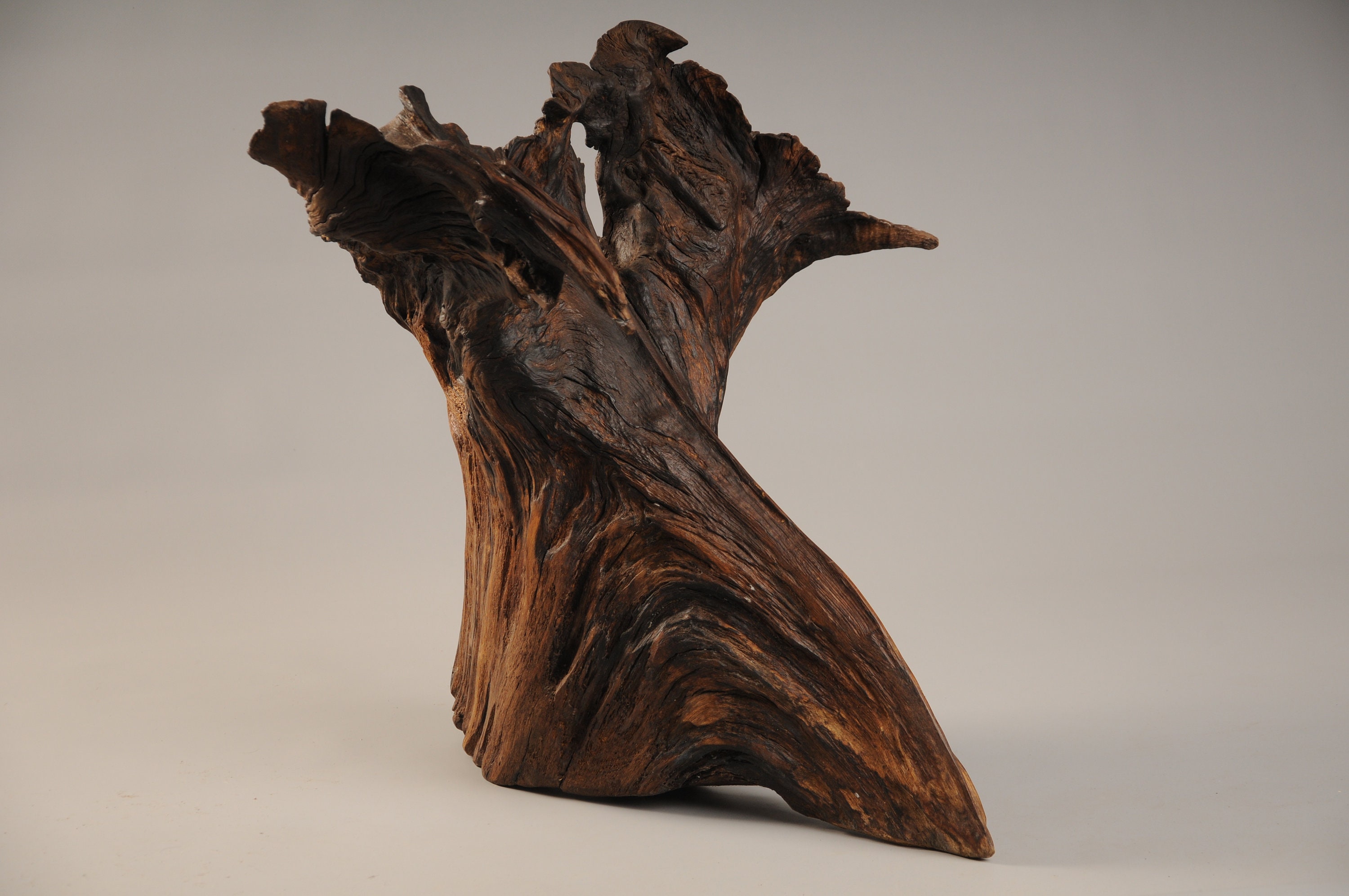 Wave. Abstract Wood Sculpture. Abstract Drift Wood Sculpture - Etsy