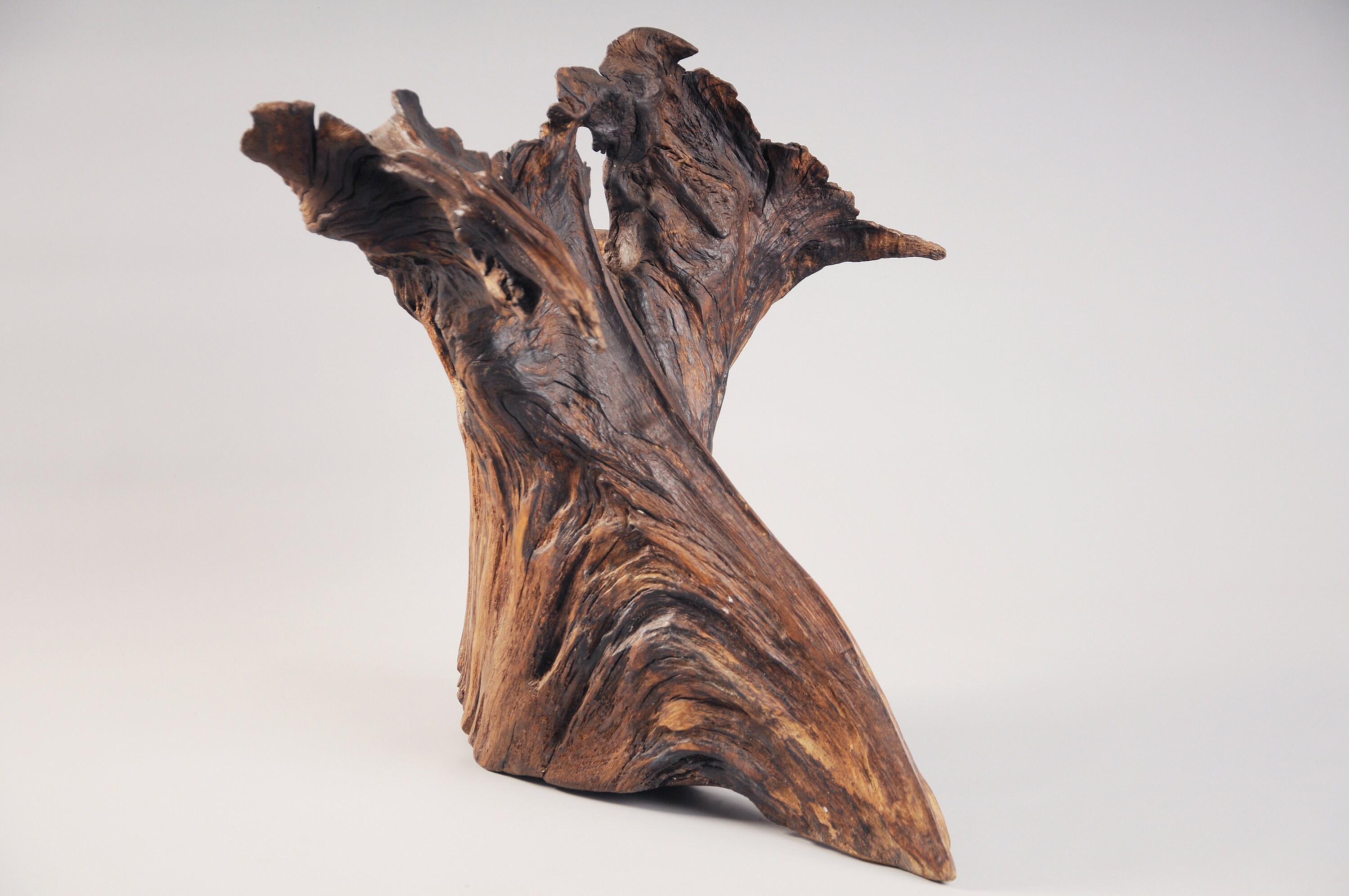 Wave. Abstract Wood Sculpture. Abstract Drift Wood Sculpture - Etsy