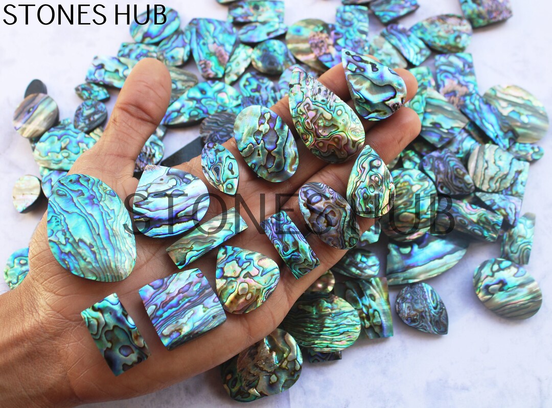 Natural Abalone Shell Loose Cabochons Lots, Multi Shape Cabochones for ...