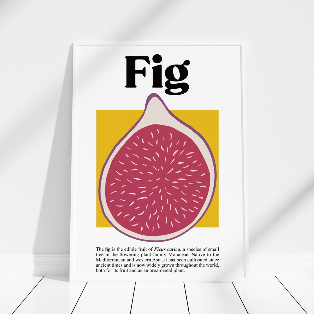 Fig Fruit Print Fig Poster Fruit Poster Digital Download Minimalistic ...