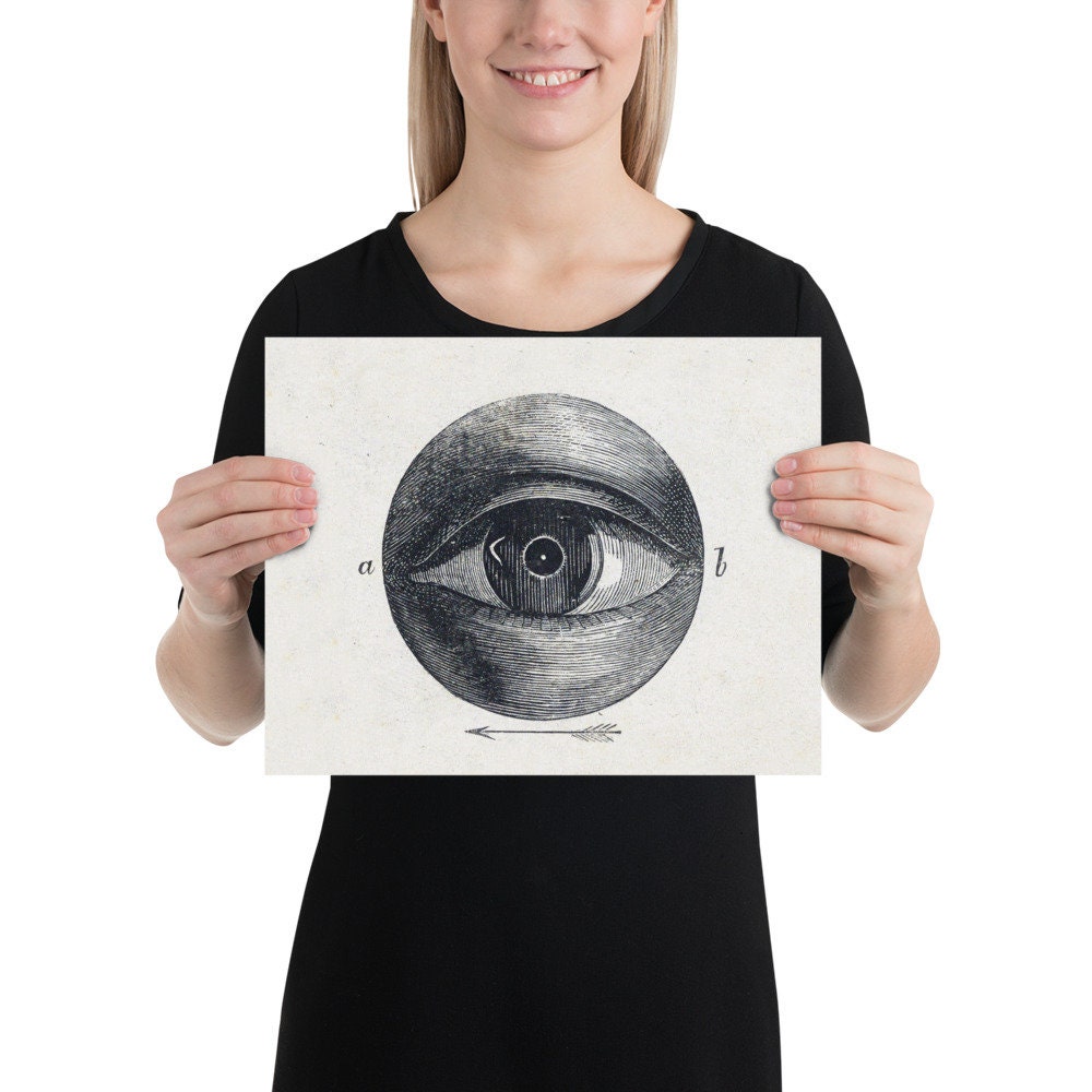 Study of a Human Eye Fine Art Print, Scientific Graphic Illustration - Etsy