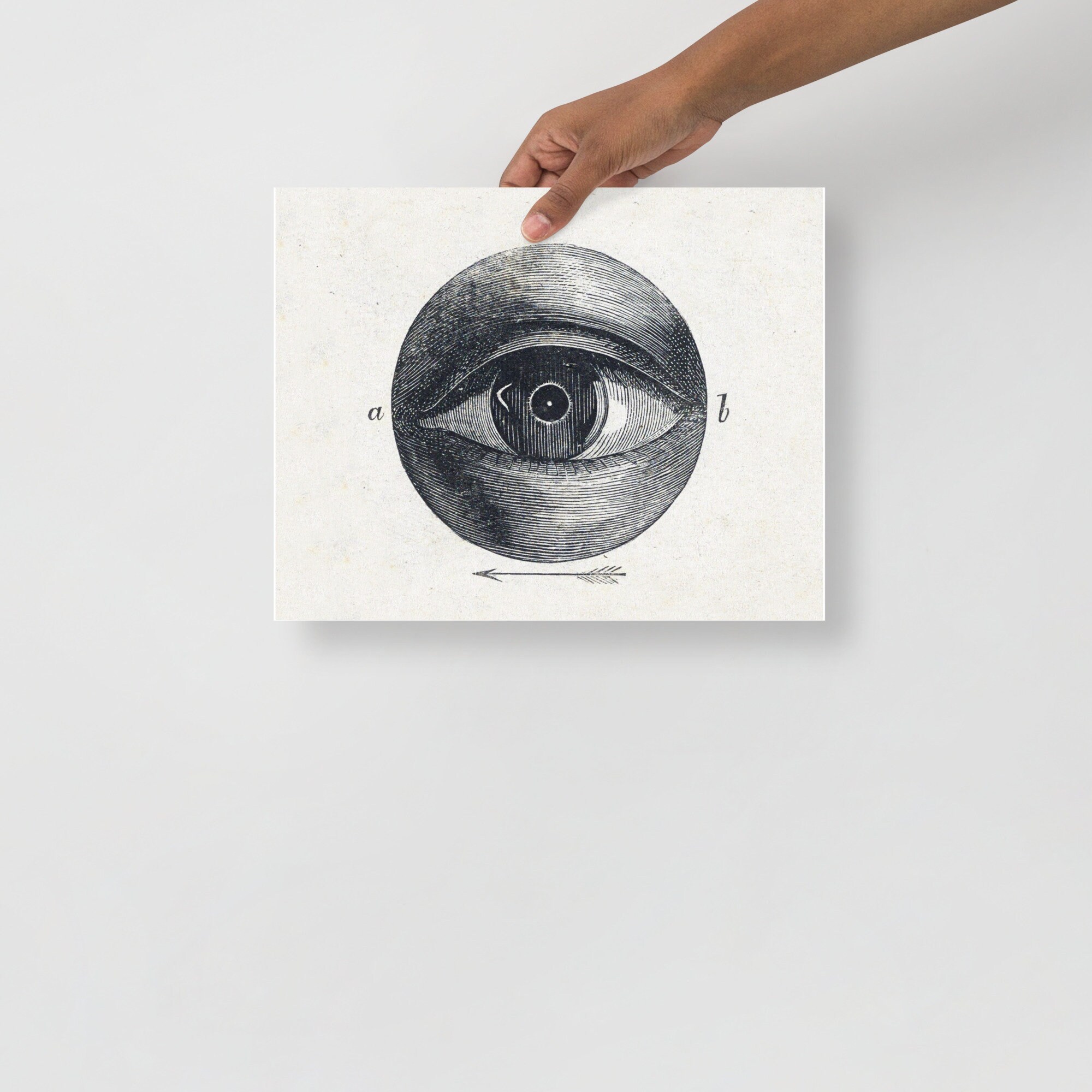 Study of a Human Eye Fine Art Print, Scientific Graphic Illustration - Etsy