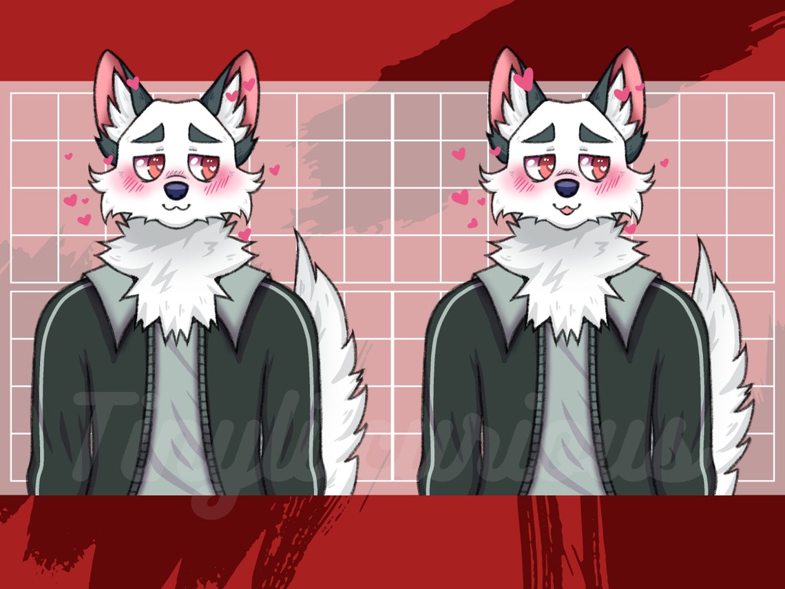 Reactive Pngtuber Starter Bundle - White Wolf Furry in a Tracksuit - Etsy