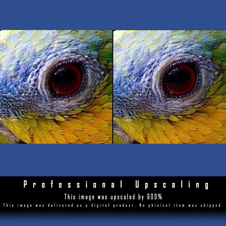 Upscale Photo AI Increase and Enhance Photo Resolution Upscale ...