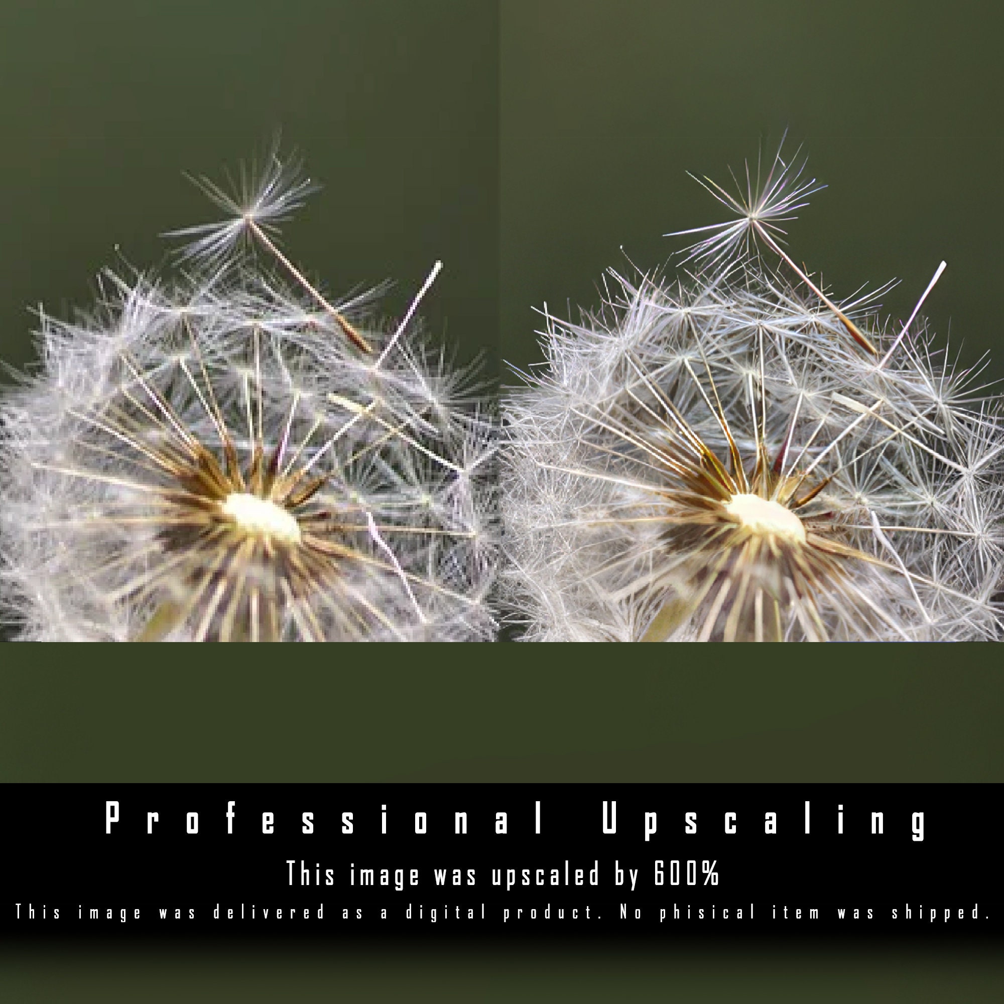 Upscale Photo AI Increase and Enhance Photo Resolution Upscale ...