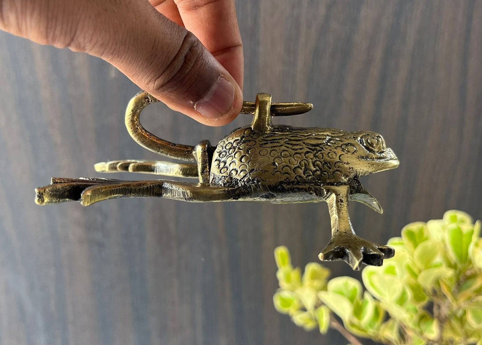 Old Vintage Brass Frog Shape Rare Tricky System Padlock P84 - Etsy