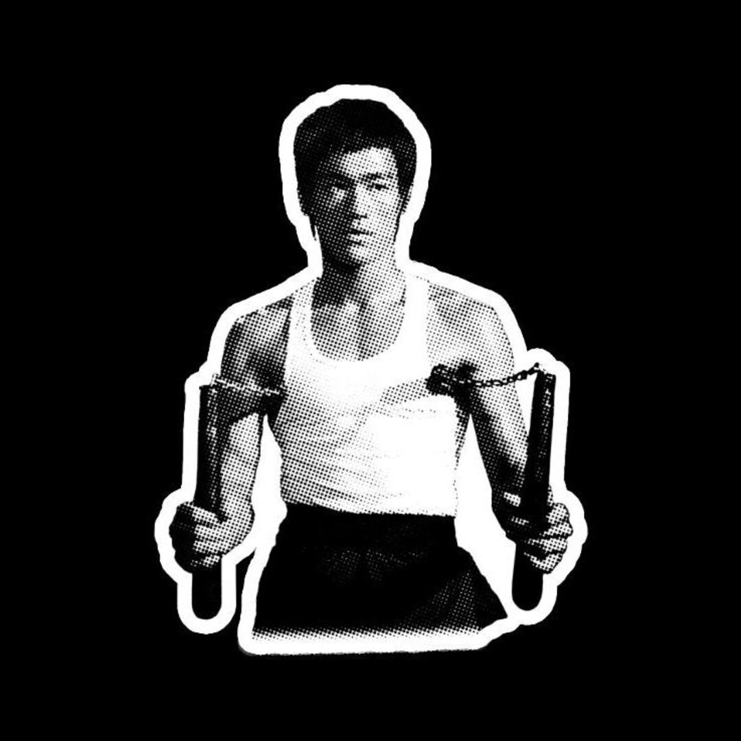Pair 2 of Bruce Lee Clear, Cut-out Stickers - Etsy
