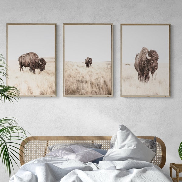 Buffalo Set of 3 Wall Art - Etsy