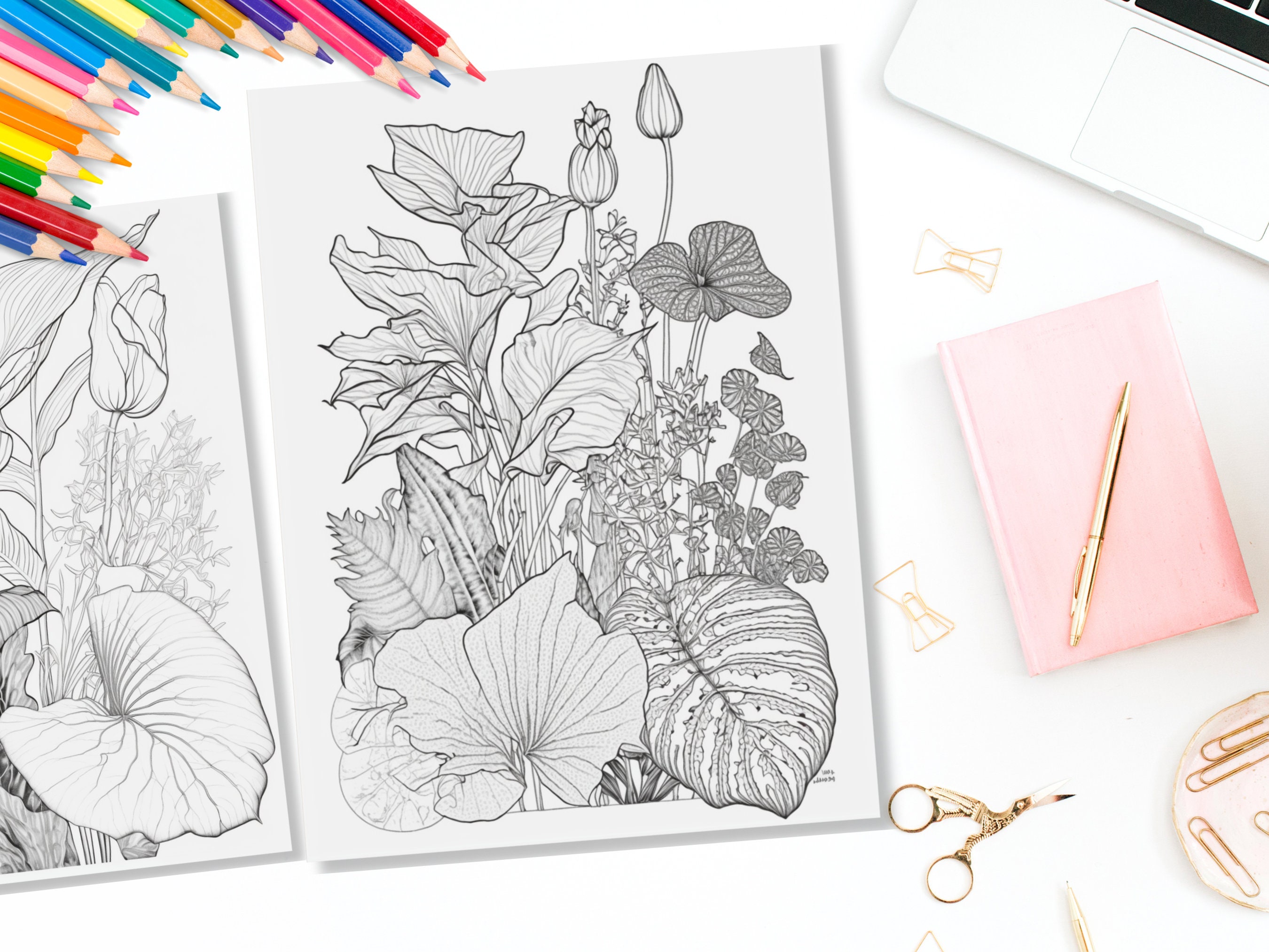 25 Indoor Plant Coloring Pages for Adults Relaxing and Fun Botanical ...