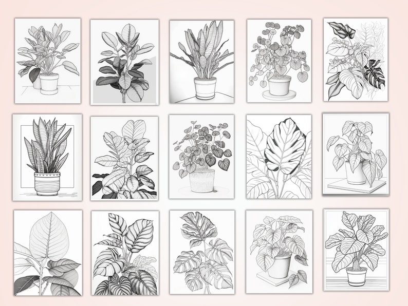 Crazy Plant Lady Coloring Pages for Adults Botanical Potted Plants ...