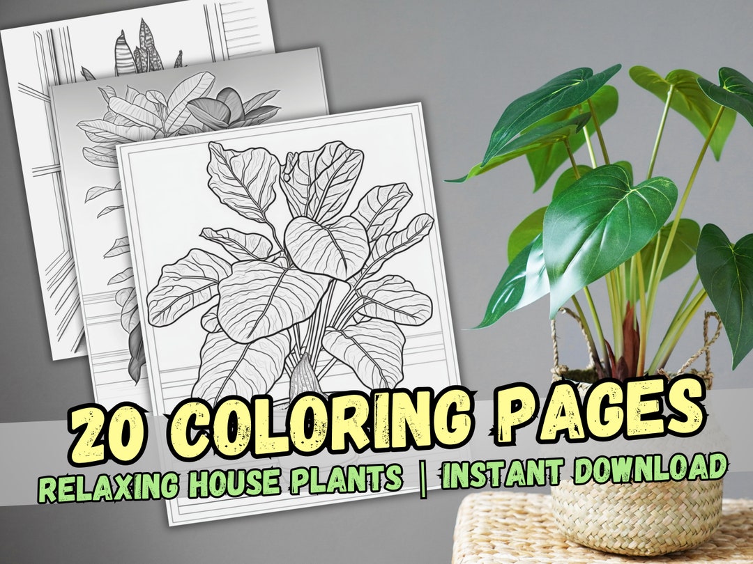 Crazy Plant Lady Coloring Pages for Adults Botanical Potted Plants ...