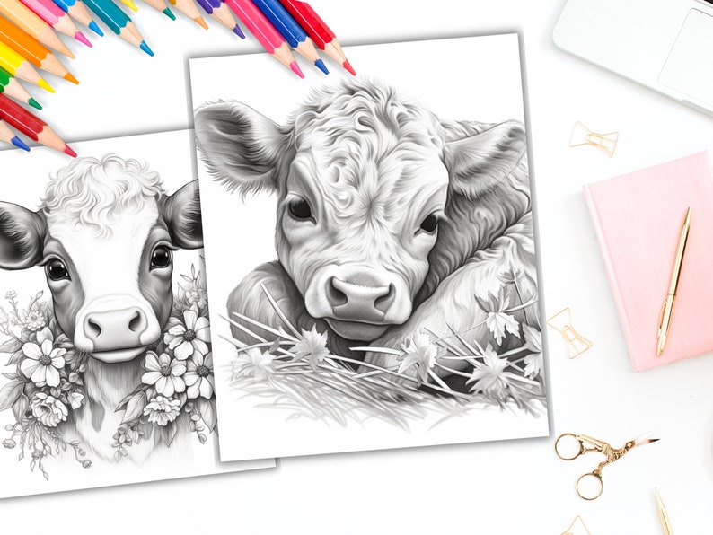 Cows Coloring Page for Adults & Kids Part 2 Printable Cow Coloring ...
