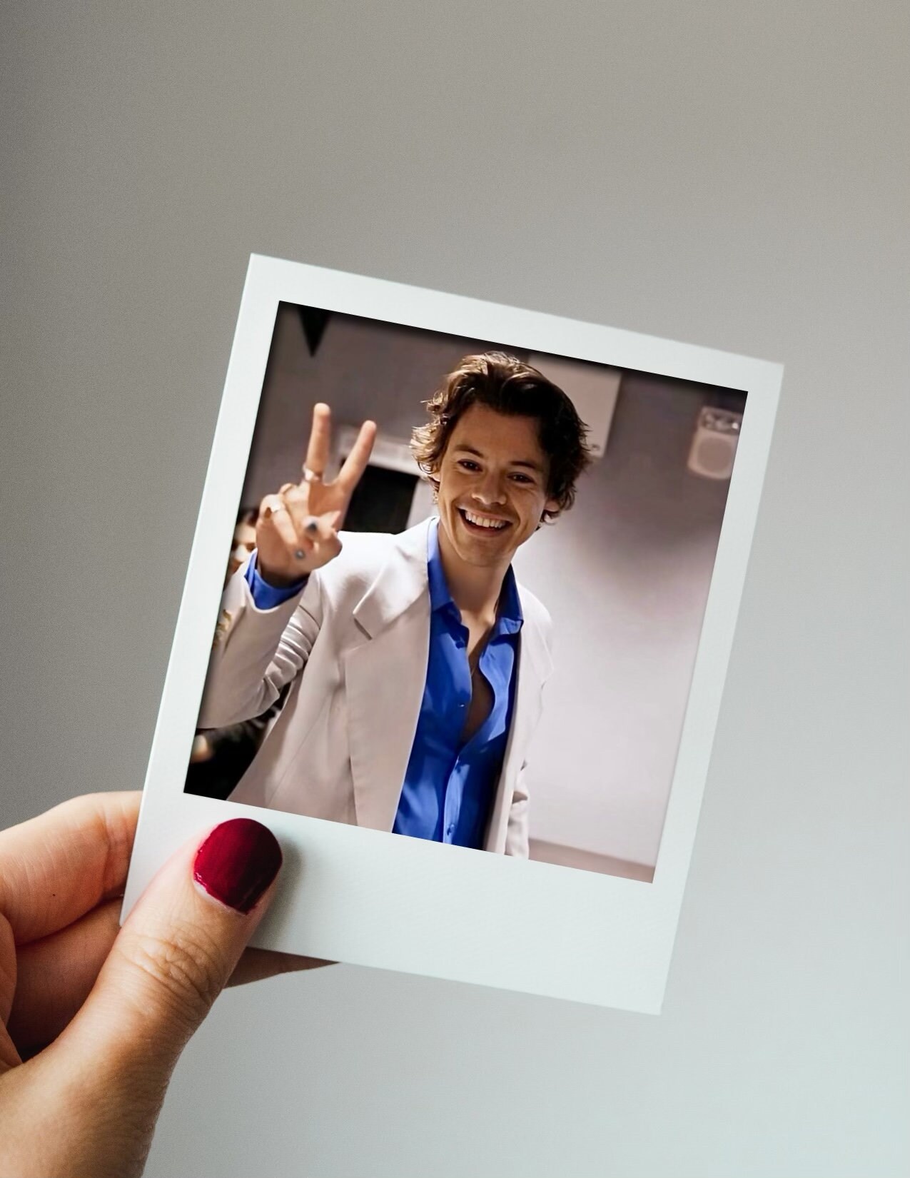 Harry Styles Polaroid Trekstock