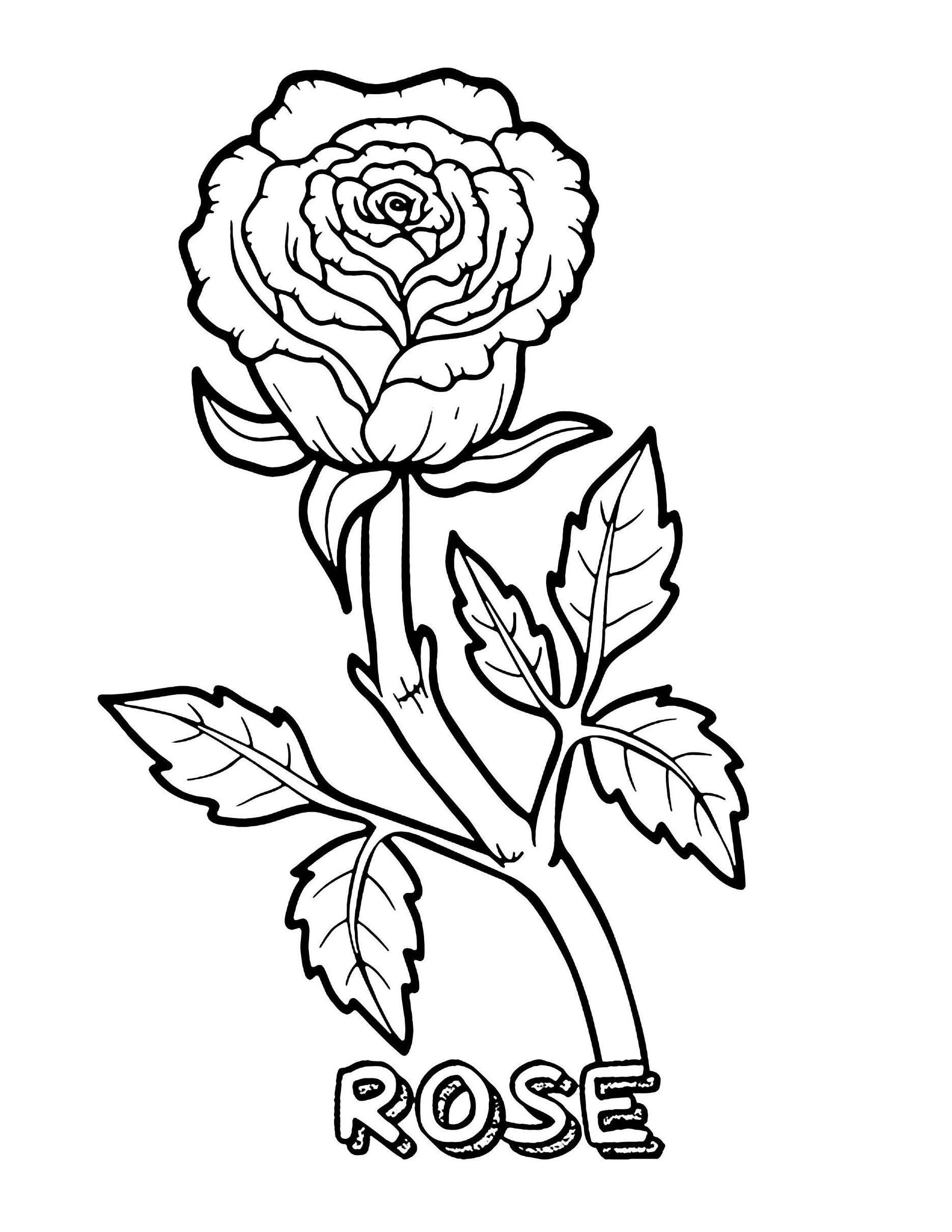 40 Flowers Colouring in for Kids Floral Colouring in - Etsy