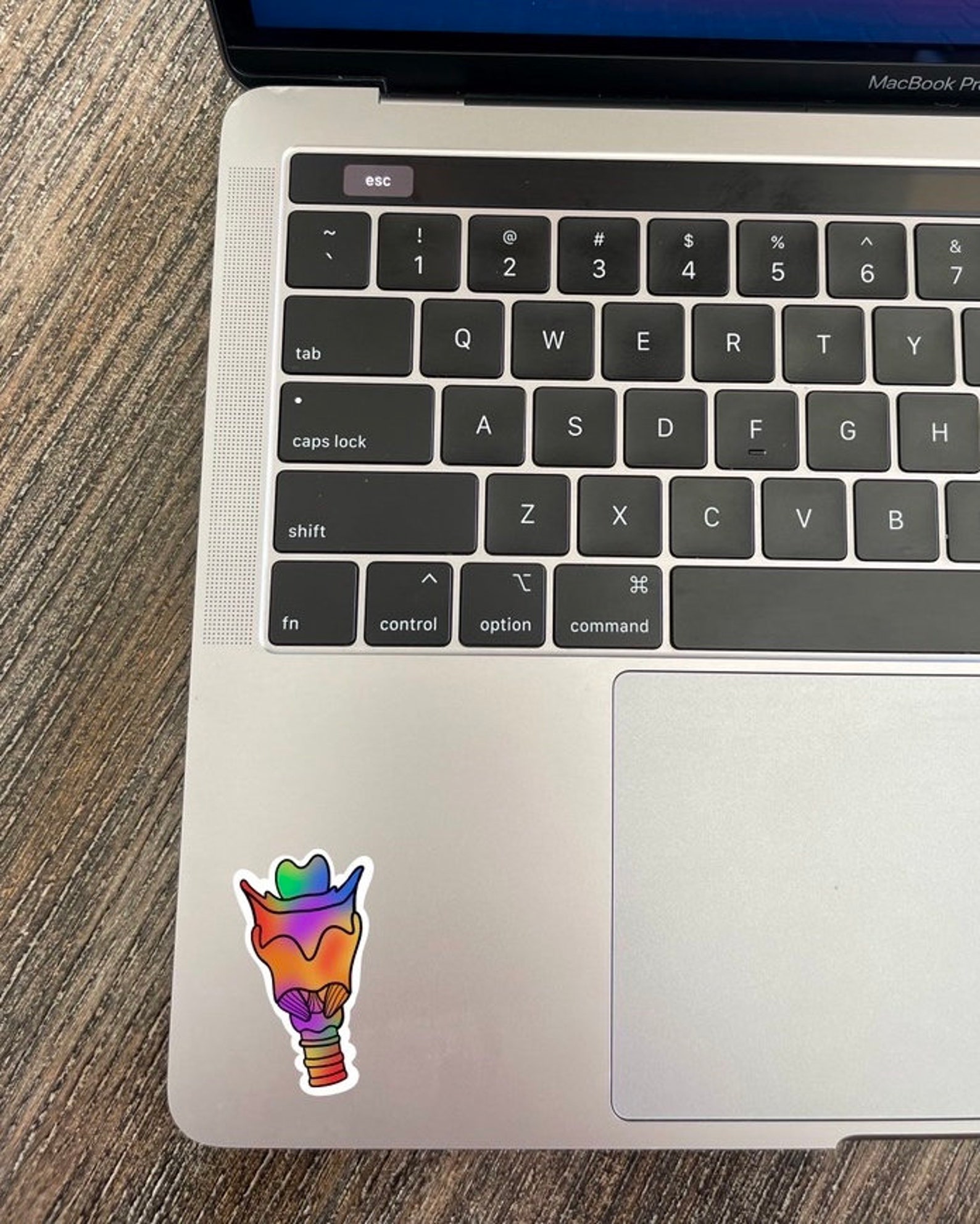 SLP Larynx Sticker Larynx SLP Anatomy Speech Pathology - Etsy