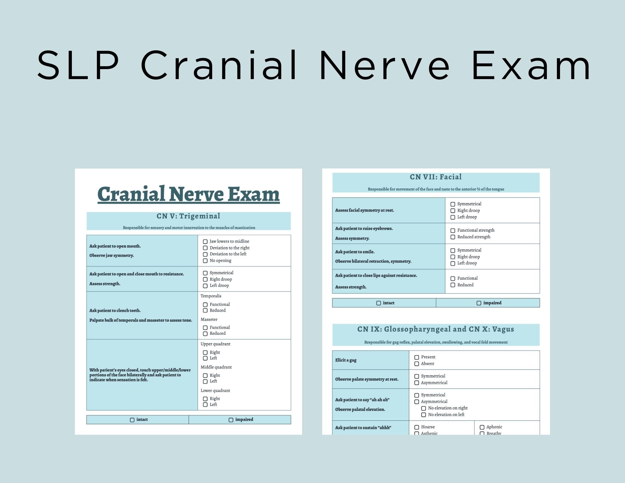 Cranial Nerve Exam How To Remember The Cranial Nerves