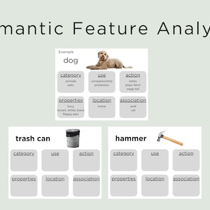 Semantic Feature Analysis Templates SLP Downloadable Resource, SFA ...