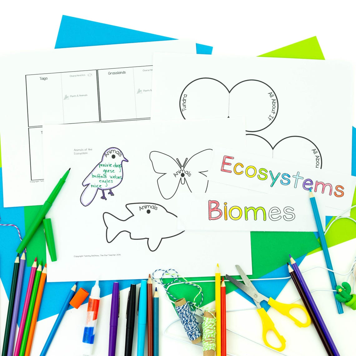 Ecosystems and Biomes Project Mobile and Activity Interactive Hands-on ...