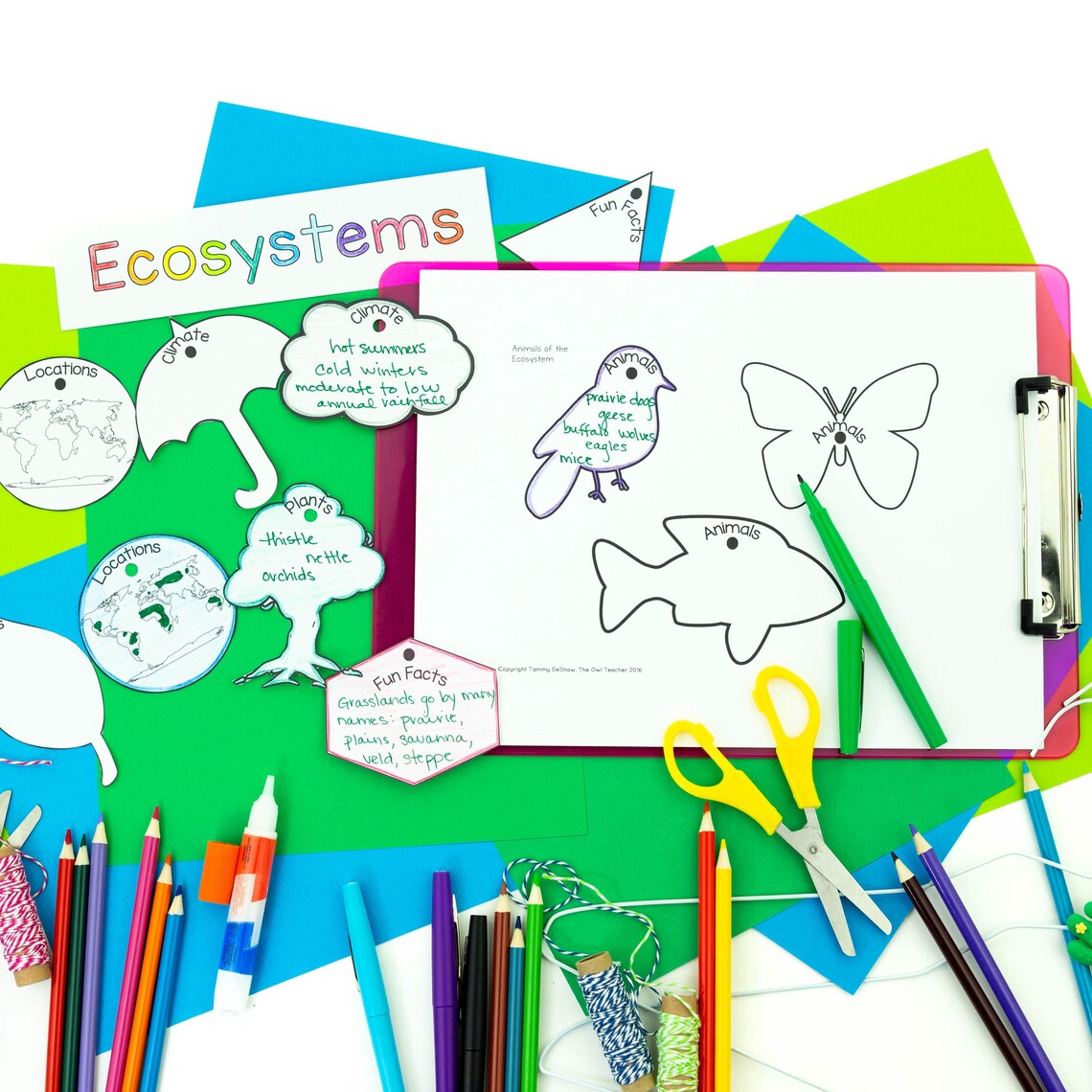 Ecosystems and Biomes Project Mobile and Activity Interactive Hands-on ...