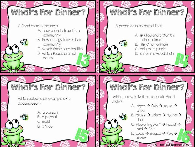 Food Chains & Food Webs Task Cards for 3rd Grade Energy Flow and ...