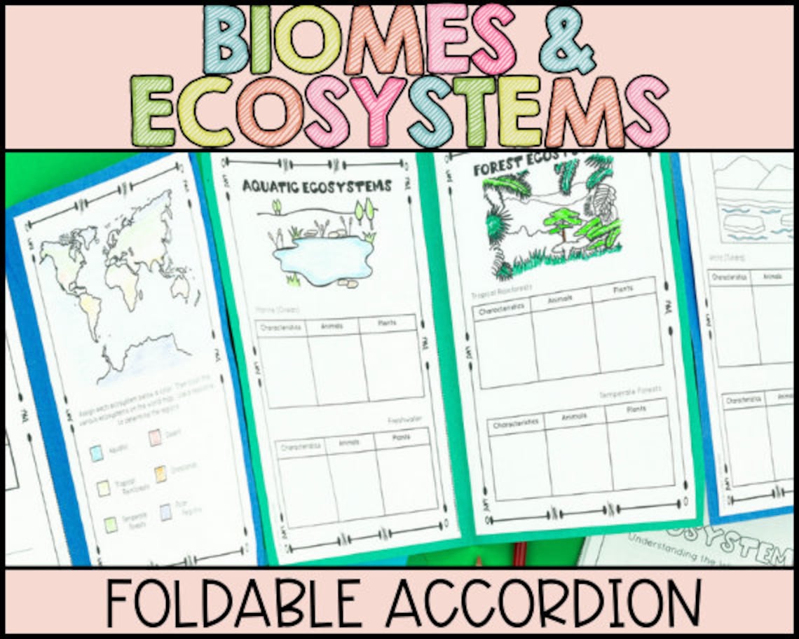 Ecosystems & Biomes Foldable Accordion Activity - Etsy
