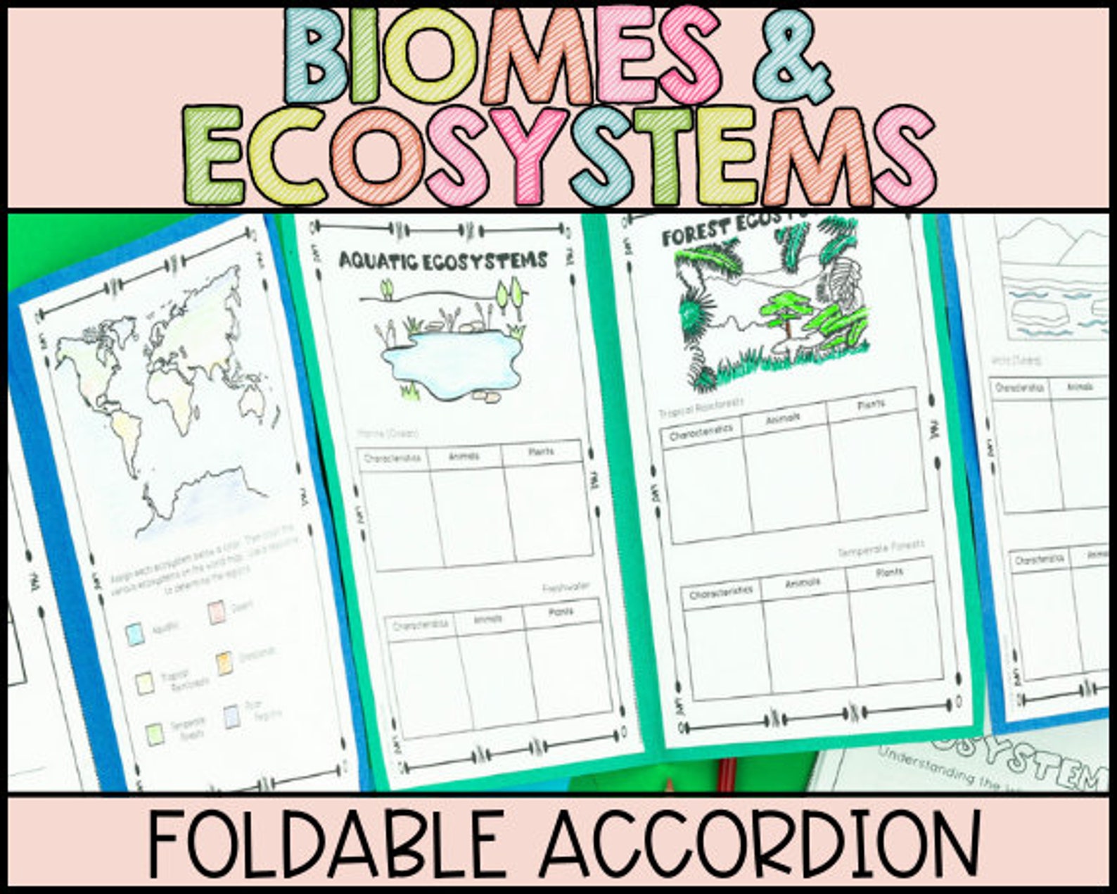 Ecosystems & Biomes Foldable Accordion Activity - Etsy