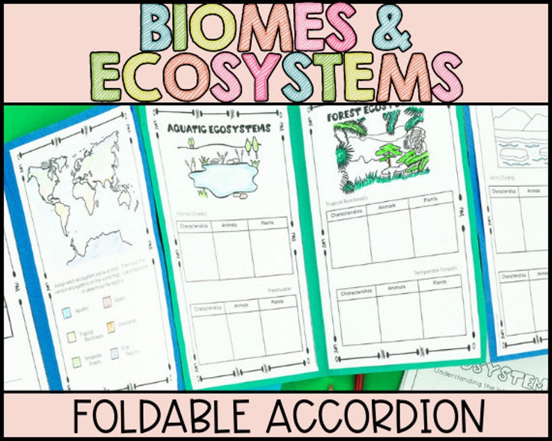 Ecosystems & Biomes Foldable Accordion Activity - Etsy
