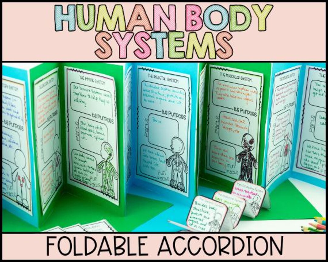 Human Body Systems Accordion Foldable Booklet: Structures & Functions ...