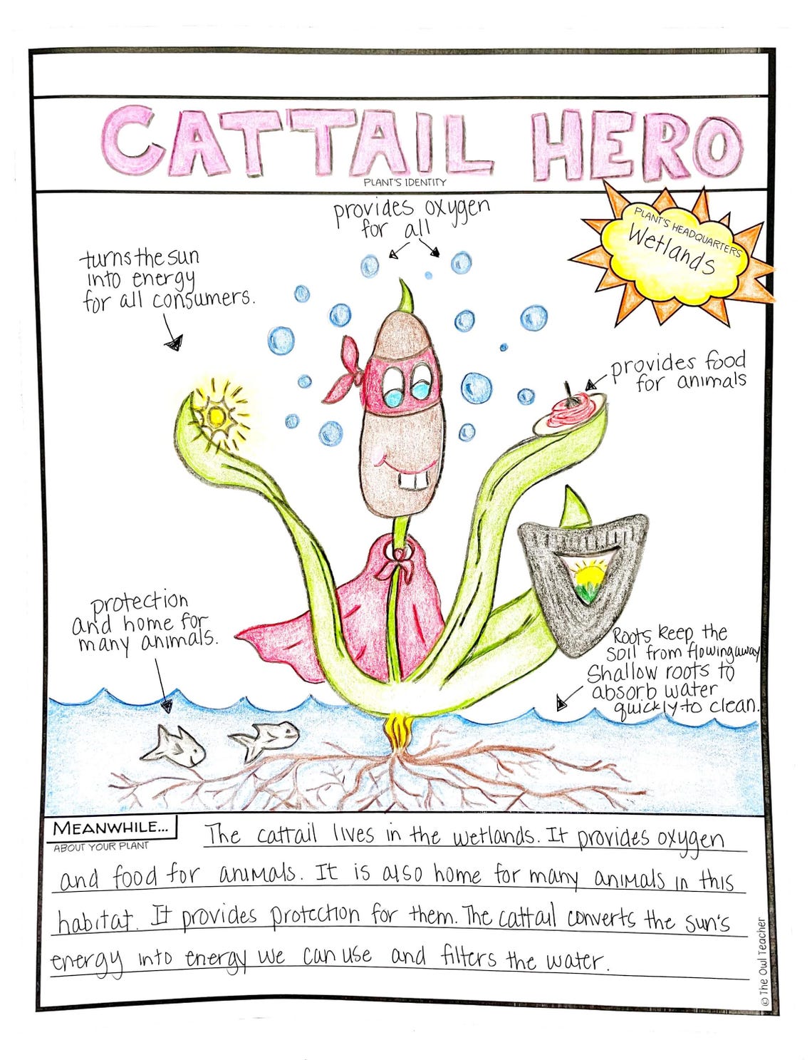 Plant Adaptations Superheroes Project: Create & Explore Plant ...