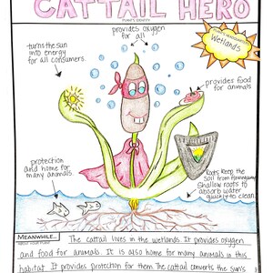 Plant Adaptations Superheroes Project: Create & Explore Plant ...