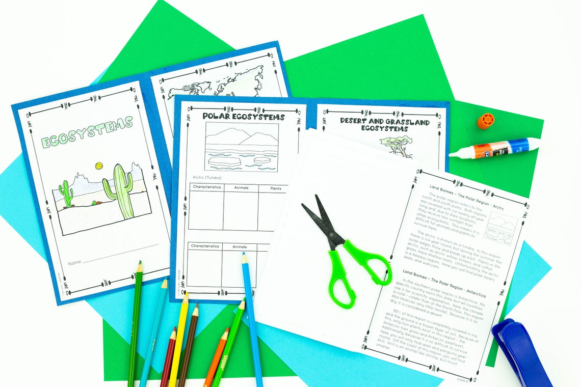 Ecosystems & Biomes Foldable Accordion Activity - Etsy